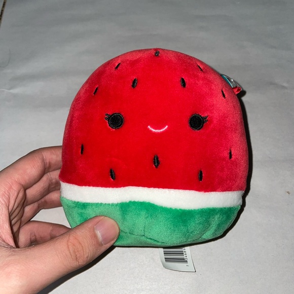 Squishmallows | Toys | Mini Watermelon Squishmallows Winsey | Poshmark